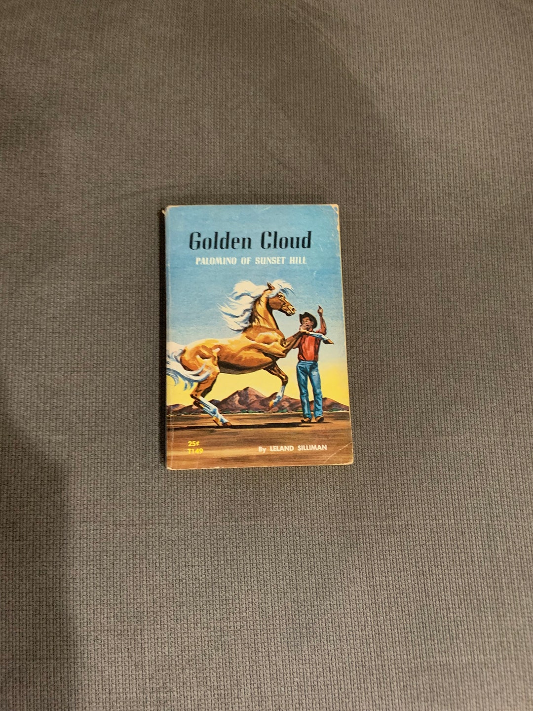 Vintage Book golden Cloud Palomino Illustrated Horse Adventure Tale ...