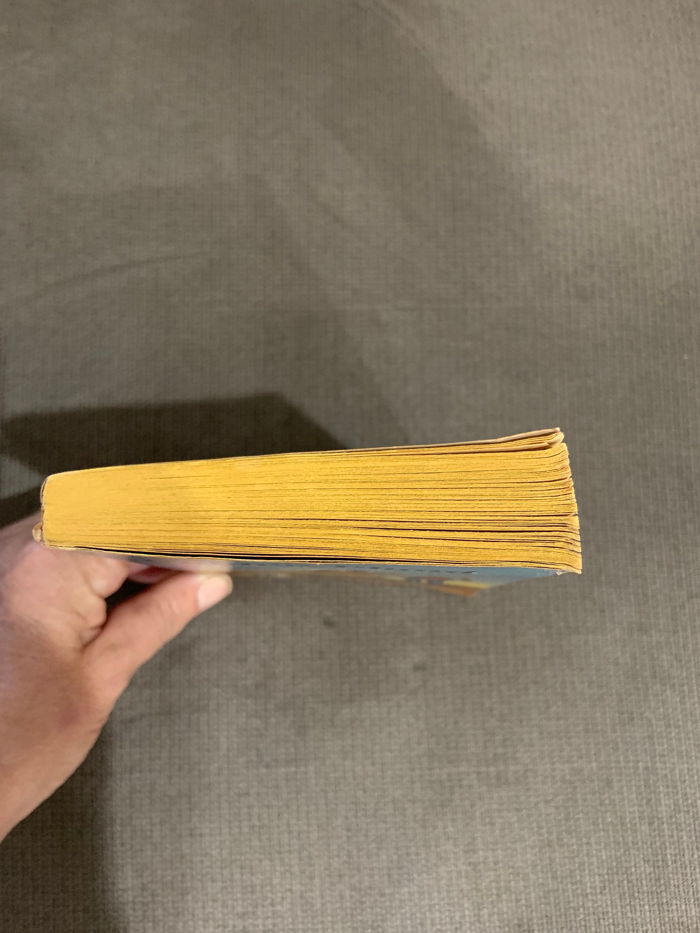 Vintage Book golden Cloud Palomino Illustrated Horse Adventure Tale ...