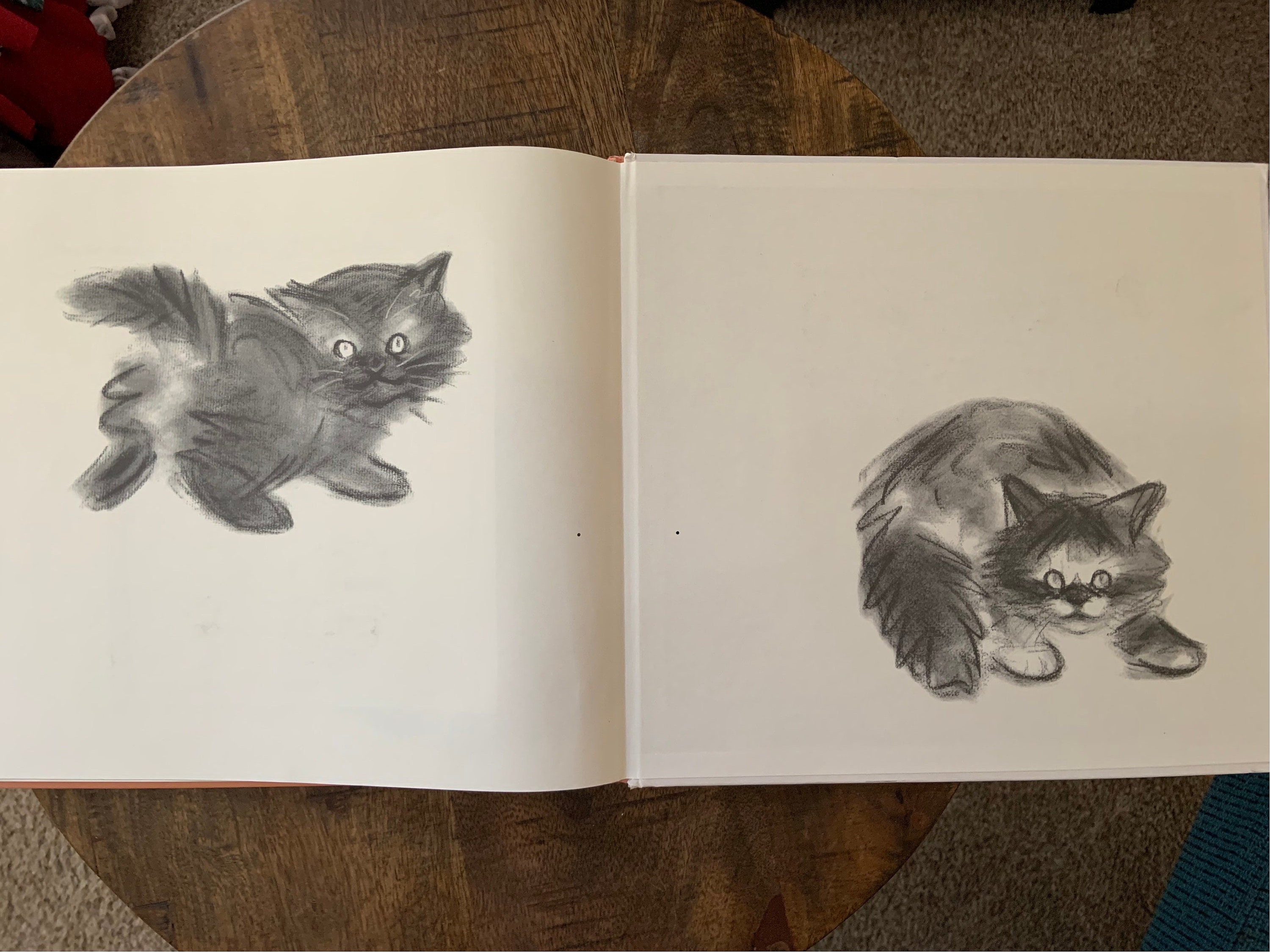 Vintage Children's Book Smudge Story and Pictures by - Etsy