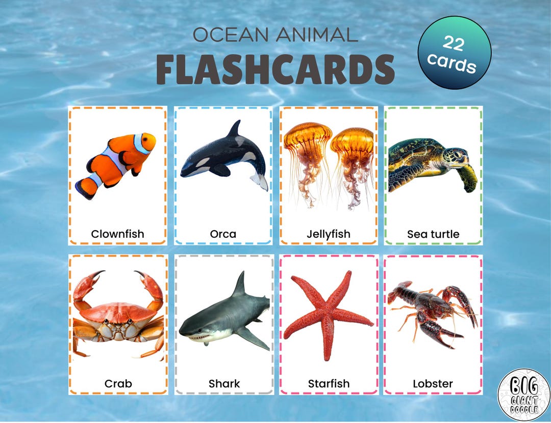 Ocean Animal Flashcards Printable | Real Photo Ocean Animals for Kids ...