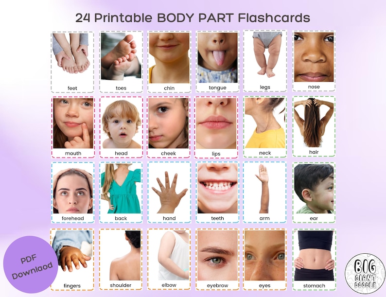 Montessori Body Part Flashcards: Real Photo Learning Cards (digital ...