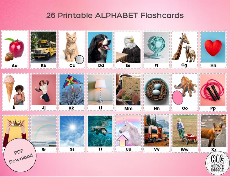 Alphabet Flashcards Heggerty: Real Photo Cards for Toddler Learning ...