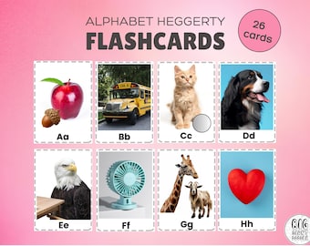 Alphabet Flashcards Heggerty: Real Photo Cards for Toddler Learning ...