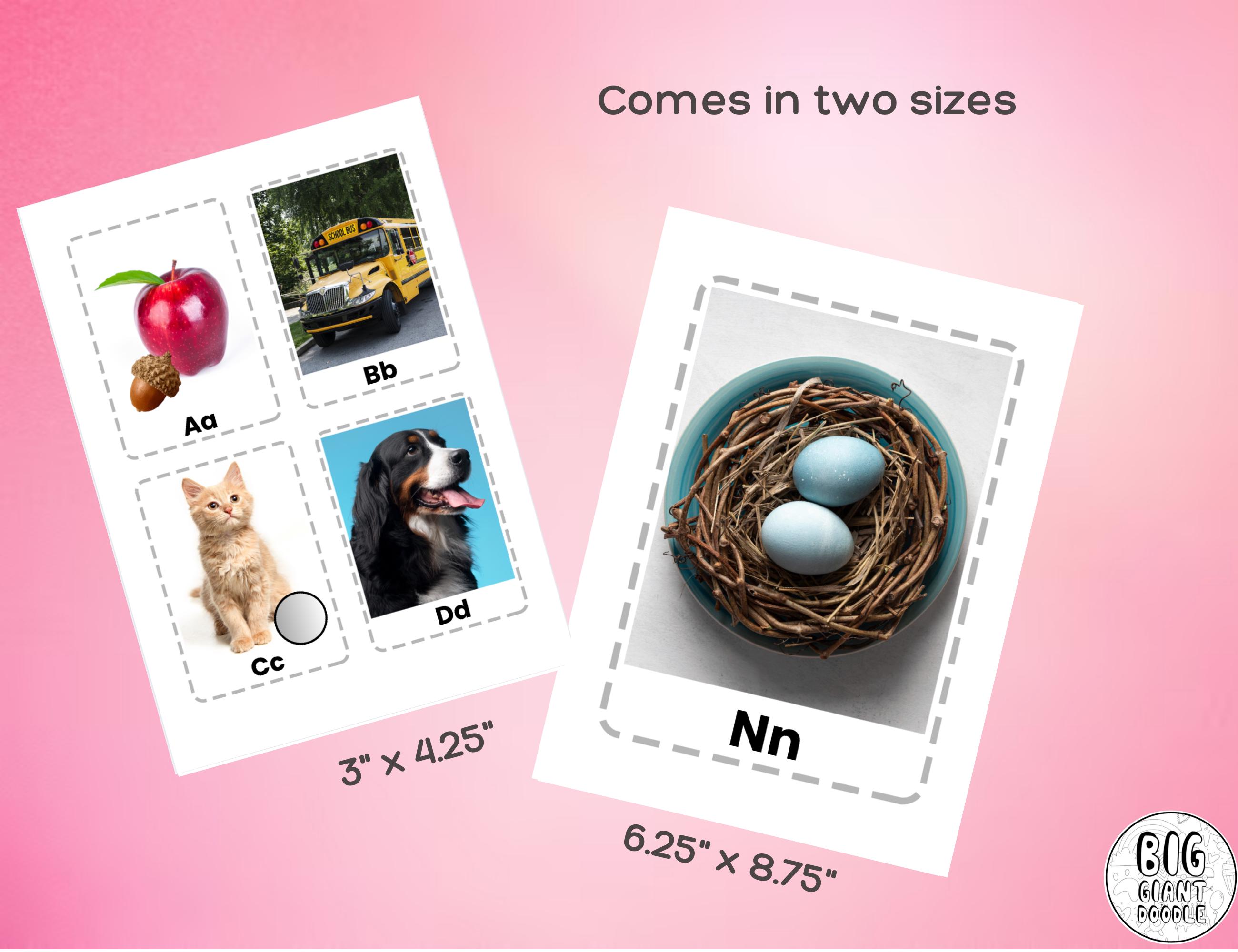 Alphabet Flashcards Heggerty: Real Photo Cards for Toddler Learning ...