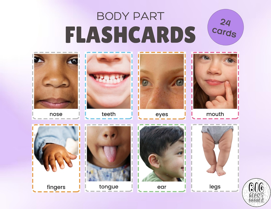 Montessori Body Part Flashcards: Real Photo Learning Cards (digital ...