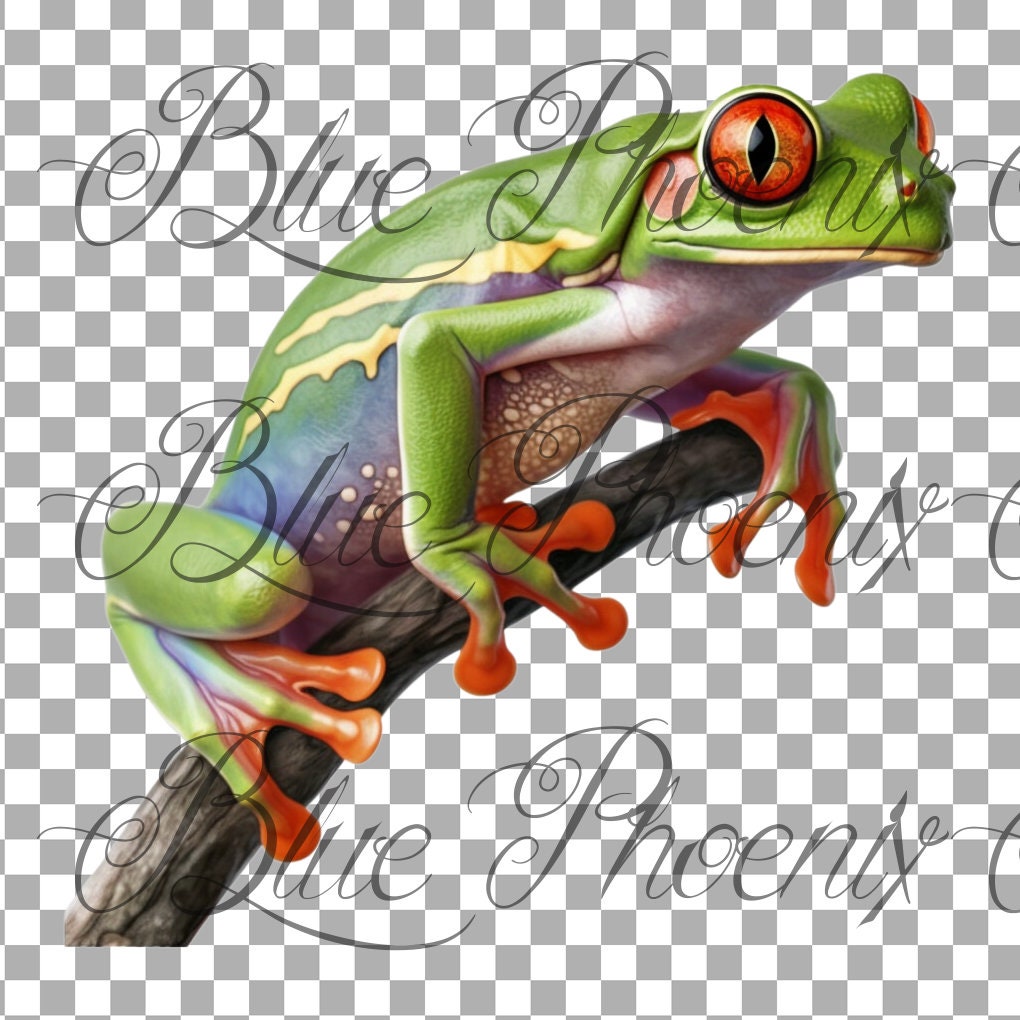 Tree Frog PNG Clipart 4 Images Sublimation File Card Making Journaling ...