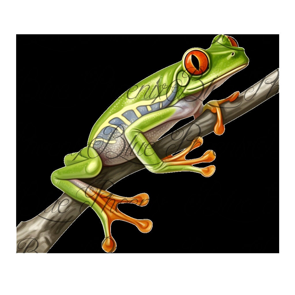 Tree Frog PNG Clipart 4 Images Sublimation File Card Making Journaling ...
