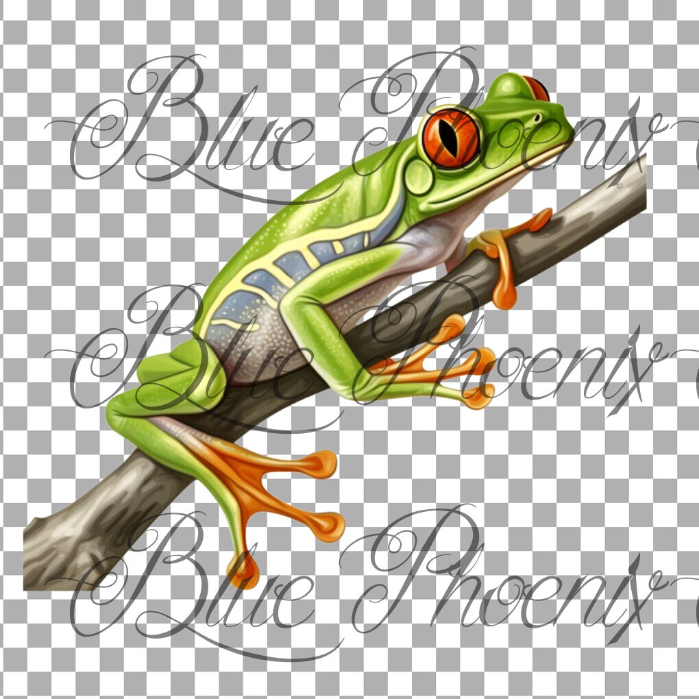 Tree Frog PNG Clipart 4 Images Sublimation File Card Making Journaling ...