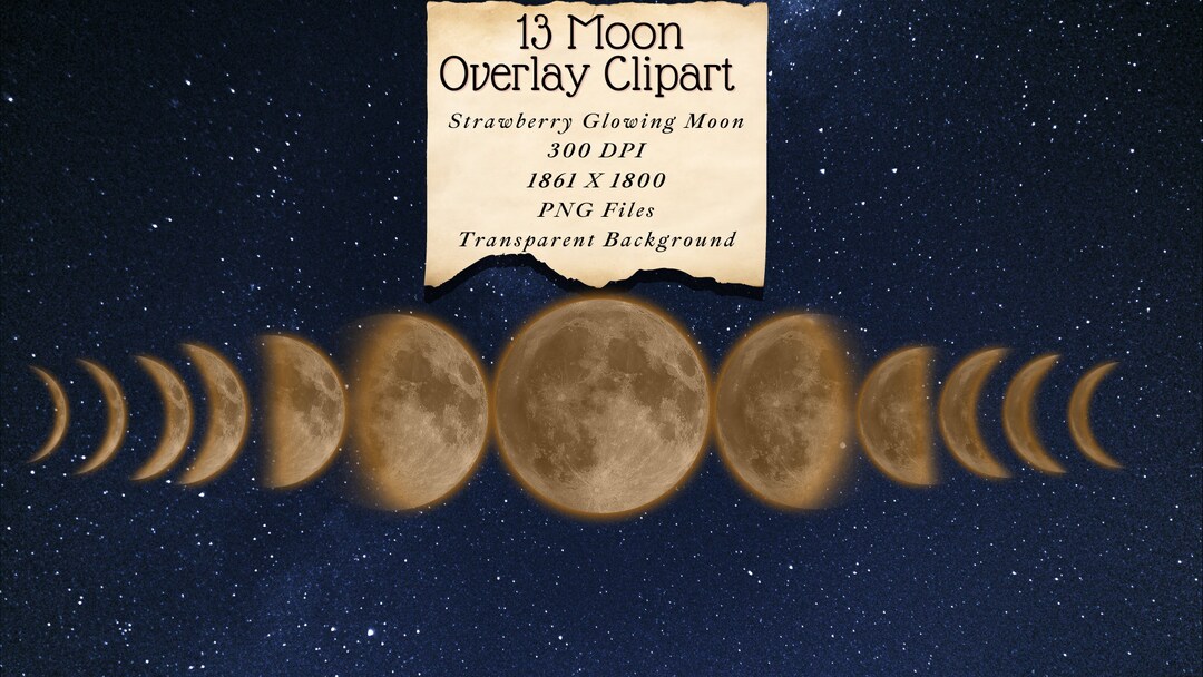 Moon Phases Overlay Orange Moon PNG 13 Files Moons Transparent ...
