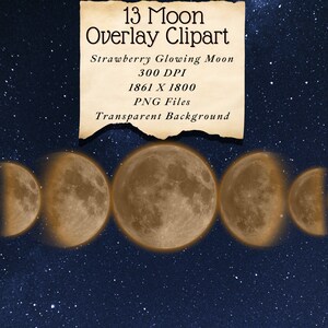 Moon Phases Overlay Orange Moon PNG 13 Files Moons Transparent ...