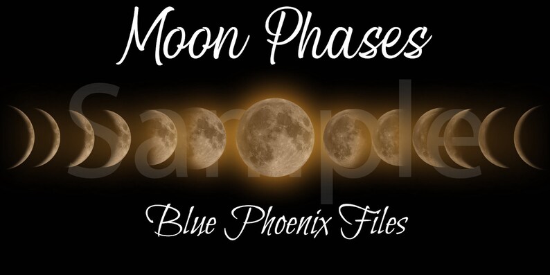 Moon Phases Overlay Orange Moon PNG 13 Files Moons Transparent ...