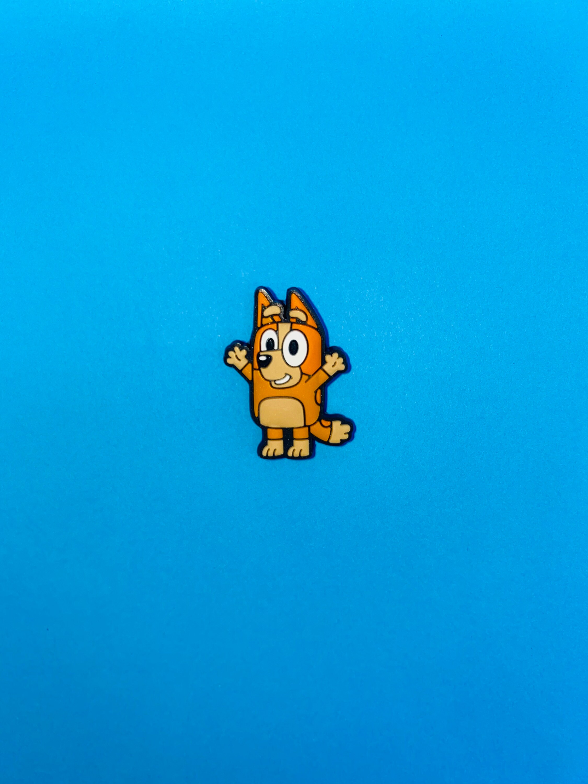 Bluey Shoe Charms - Etsy