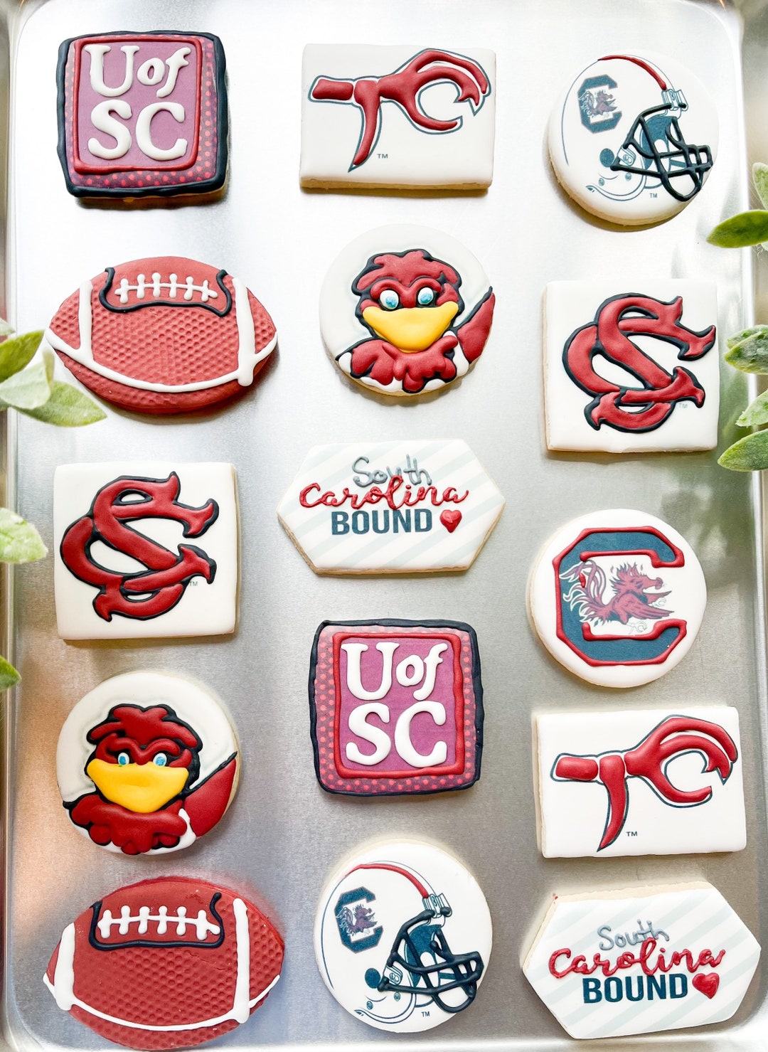 University of South Carolina Cookies Carolina Bound Graduation - Etsy