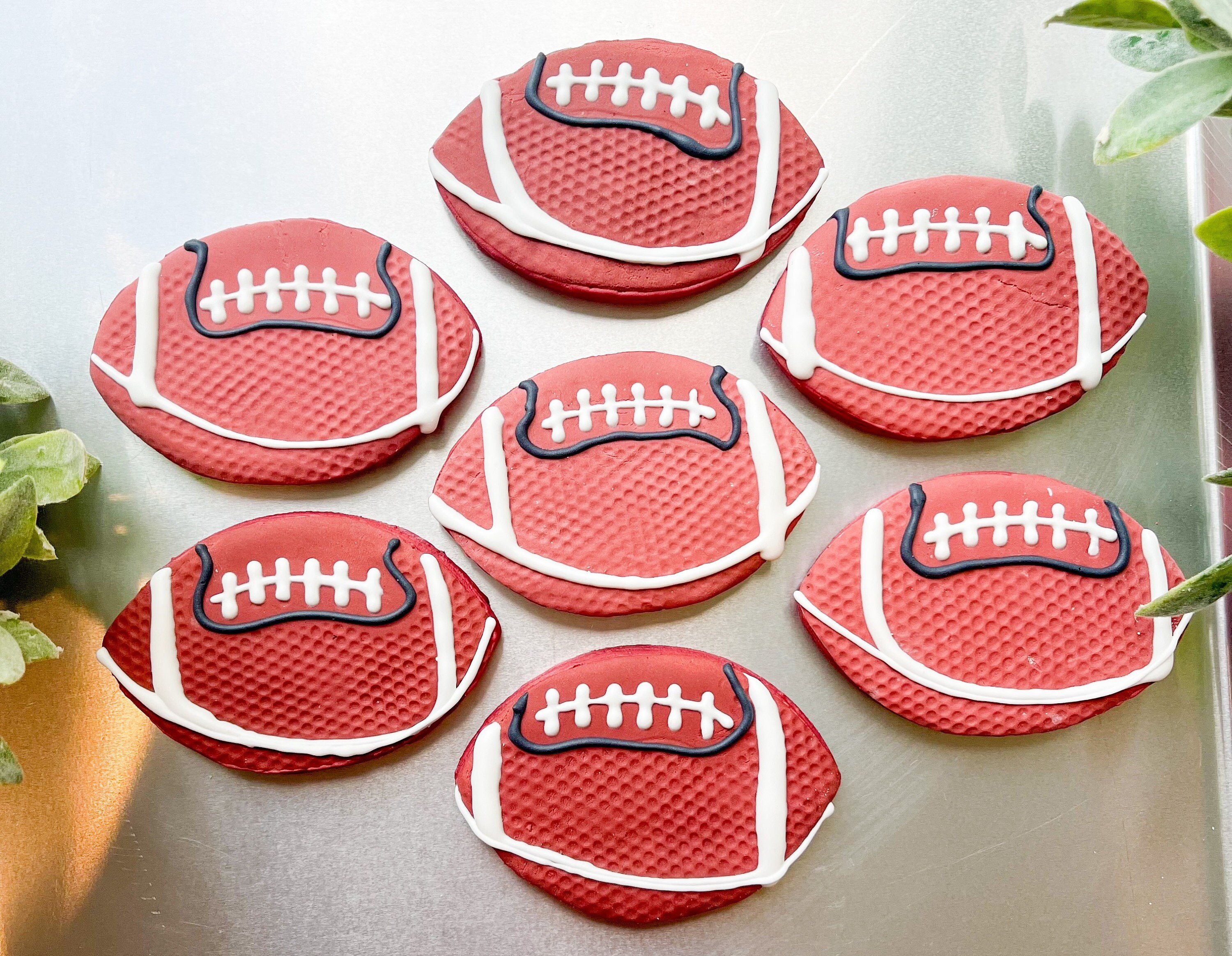 University of South Carolina Cookies Carolina Bound Graduation - Etsy