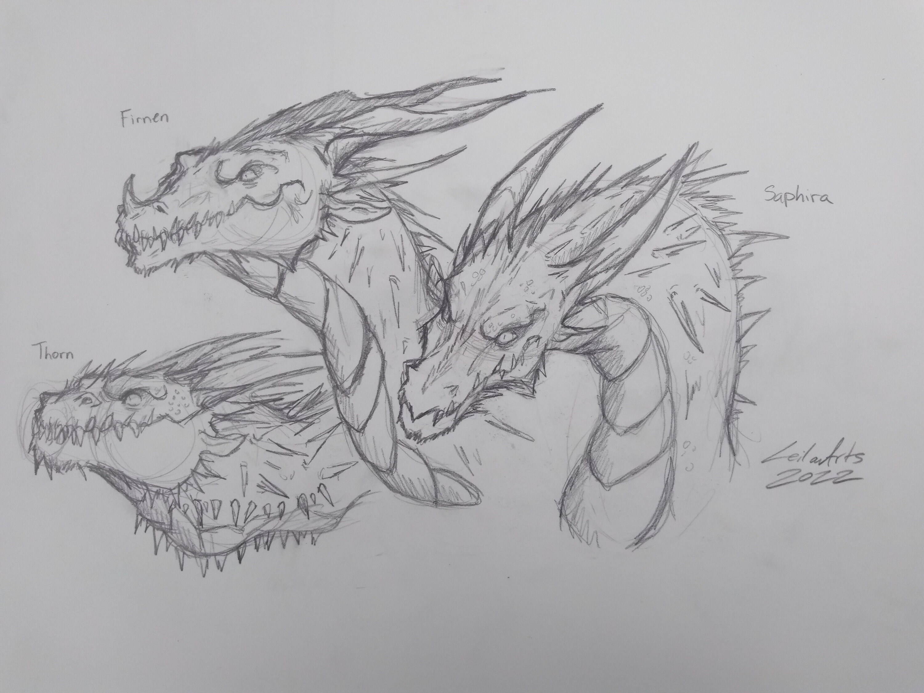Thorn Eragon Drawing