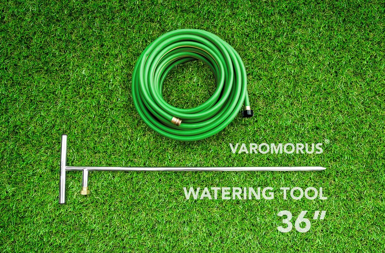 Varomorus Stainless Steel Tree Watering Irrigation Tool - Etsy