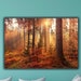 Autumn Fantasy Forest Trees Wall Art,magical Forest Poster Canvas Wall ...