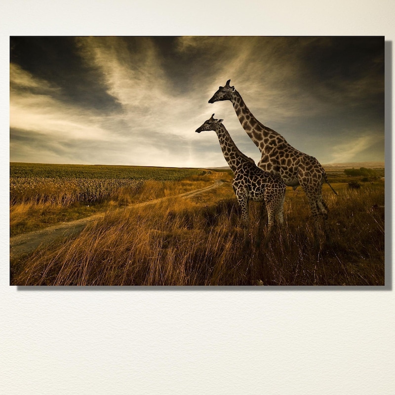 Giraffe Wall Art - Etsy