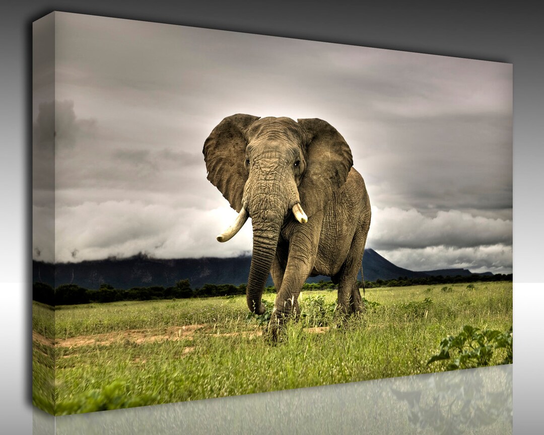 Elephant Poster Wall Art Canvas Print,elephant Photo Print,wild Life ...
