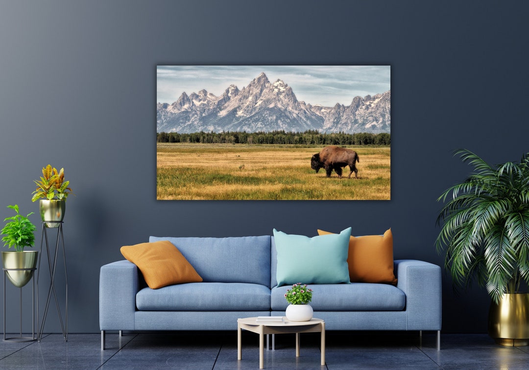 American Buffalo in Farm Poster/canvas Wall Art,buffalo Print Art ...