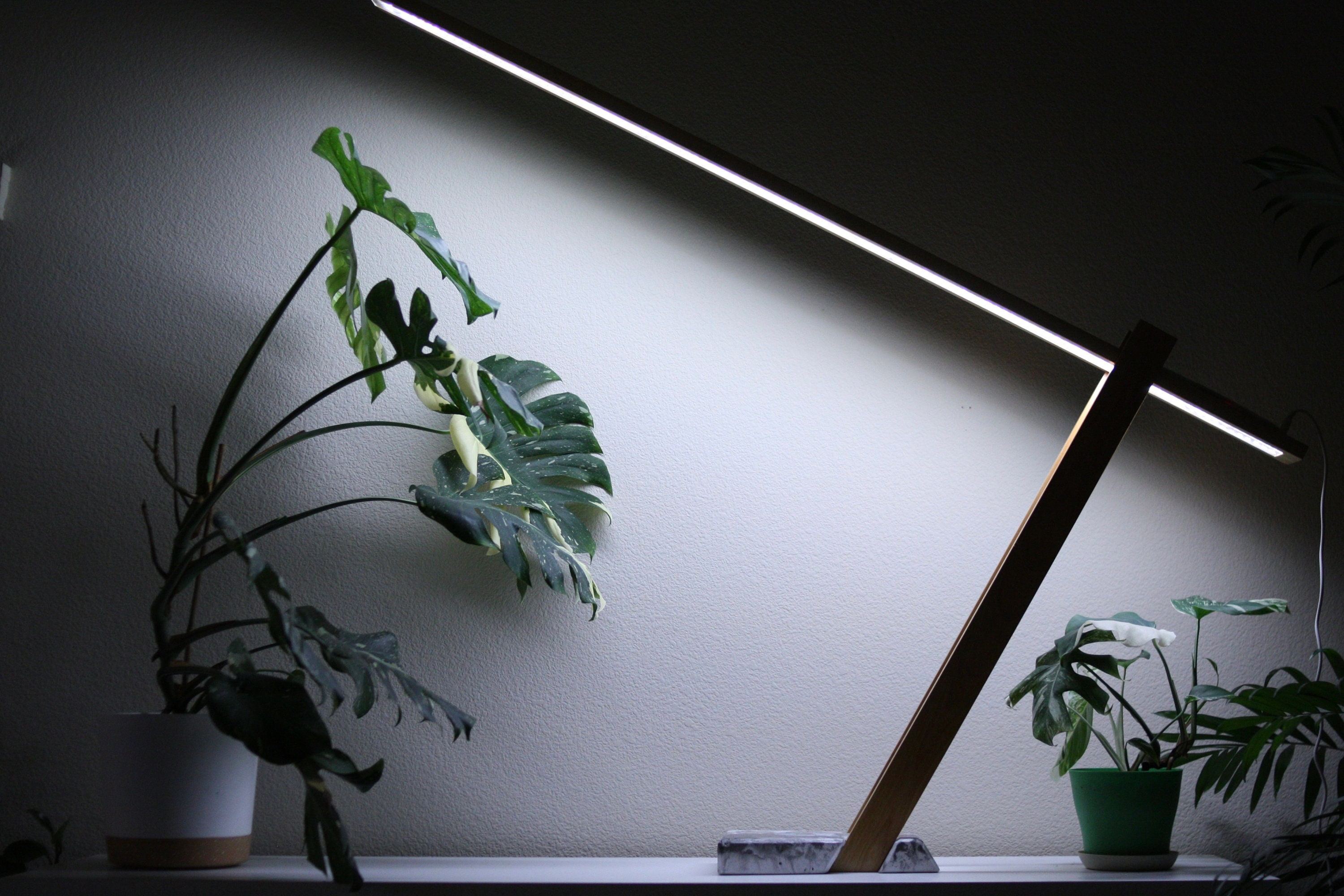 The Super Slant Plant Lamp - Etsy