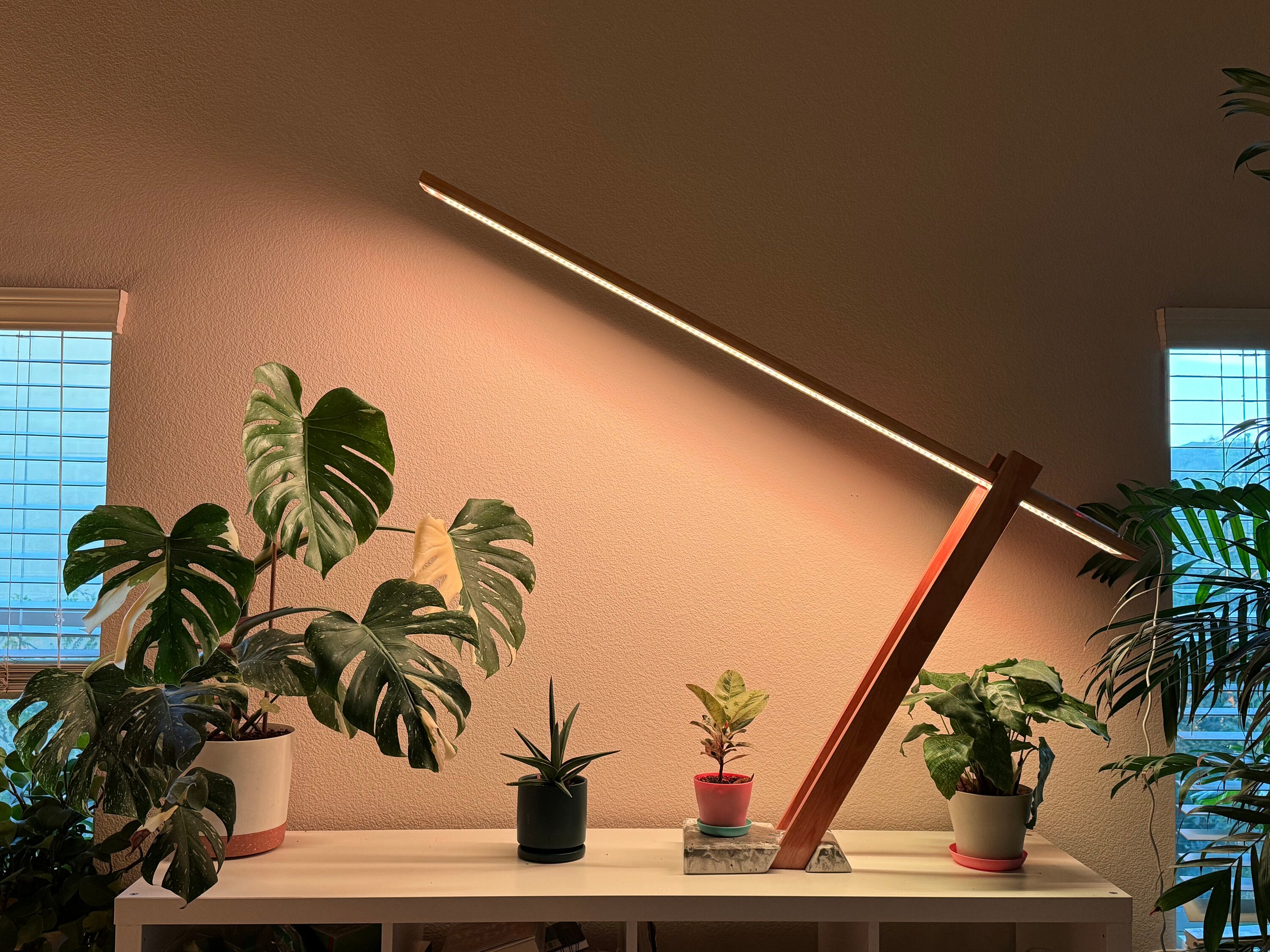The Super Slant Plant Lamp - Etsy