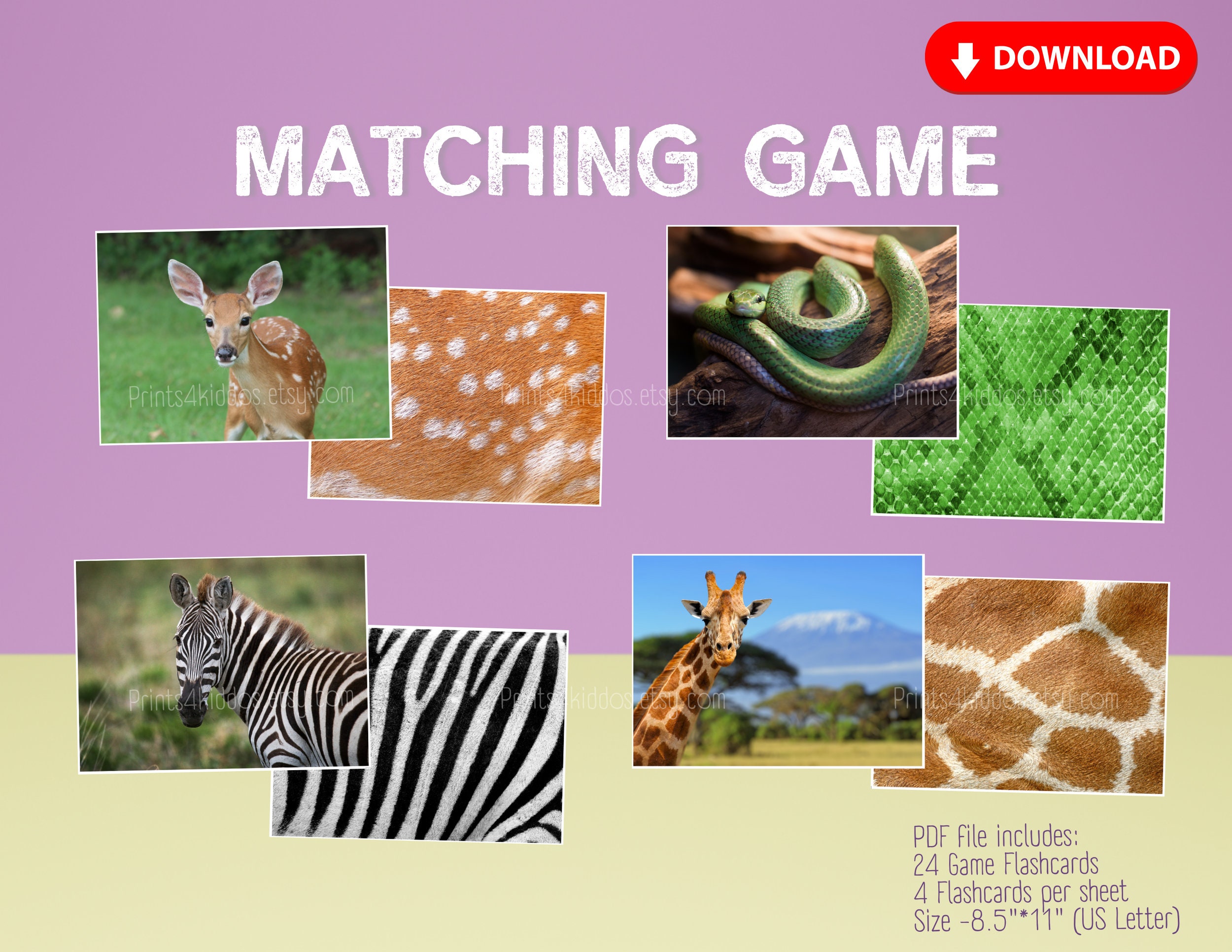 Match Animals and Their Patterns Matching Game Cognitive - Etsy