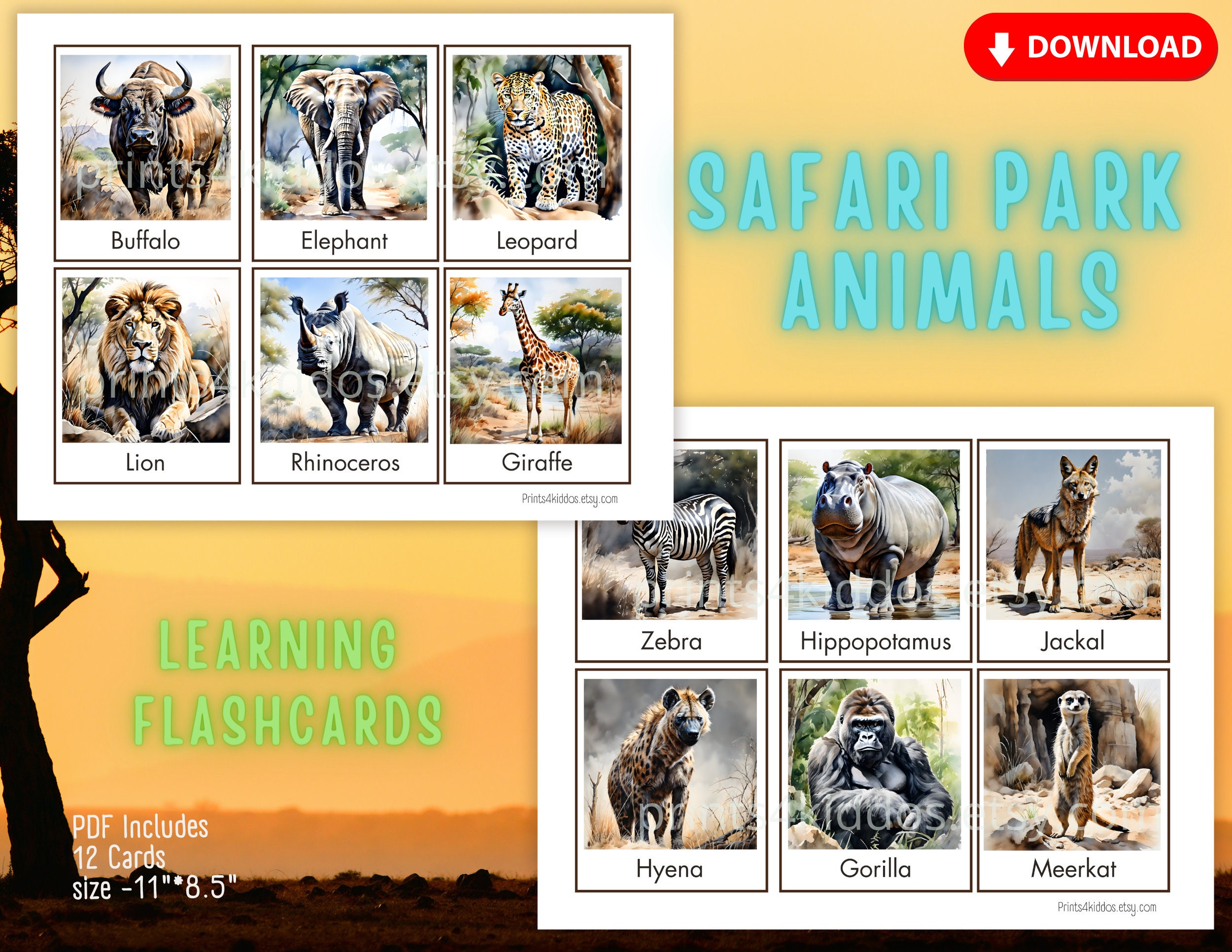 Safari Park Animals, Learning Flashcards, Wildlife Animals, Montessori ...