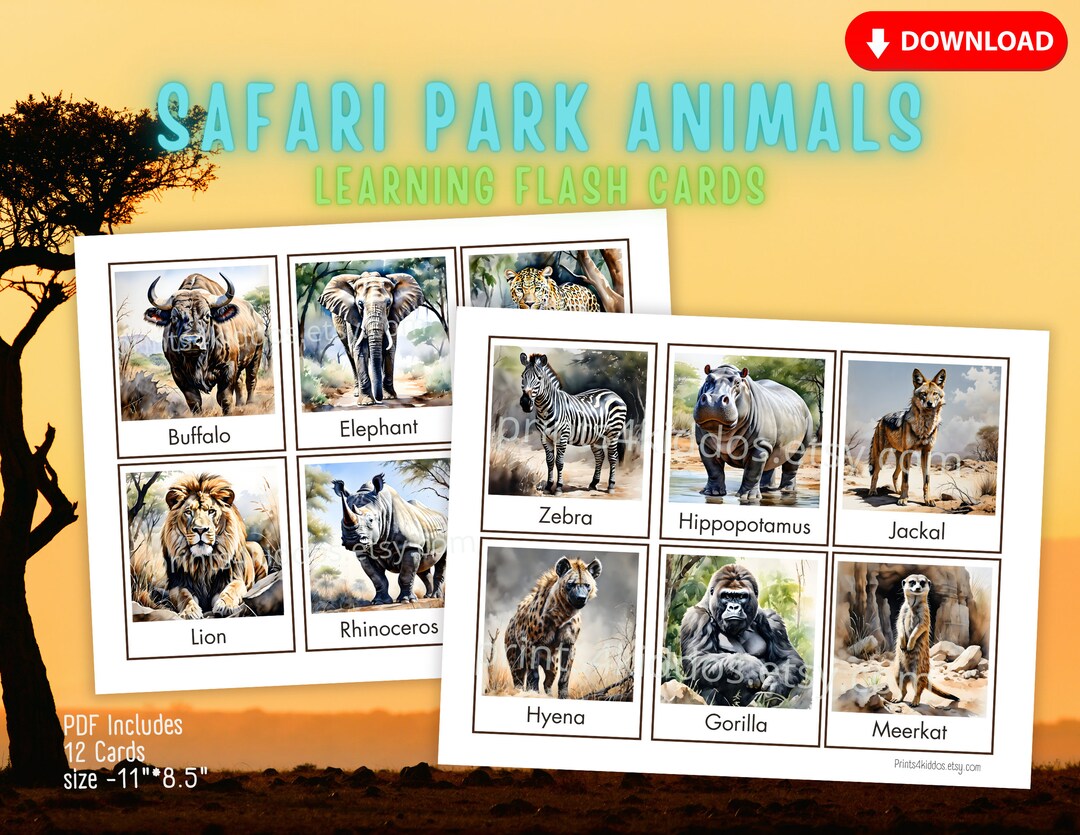 Safari Park Animals, Learning Flashcards, Wildlife Animals, Montessori ...