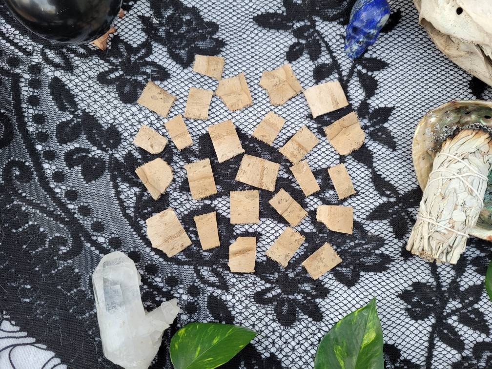 Snapping Turtle Shell Rune Set - Etsy