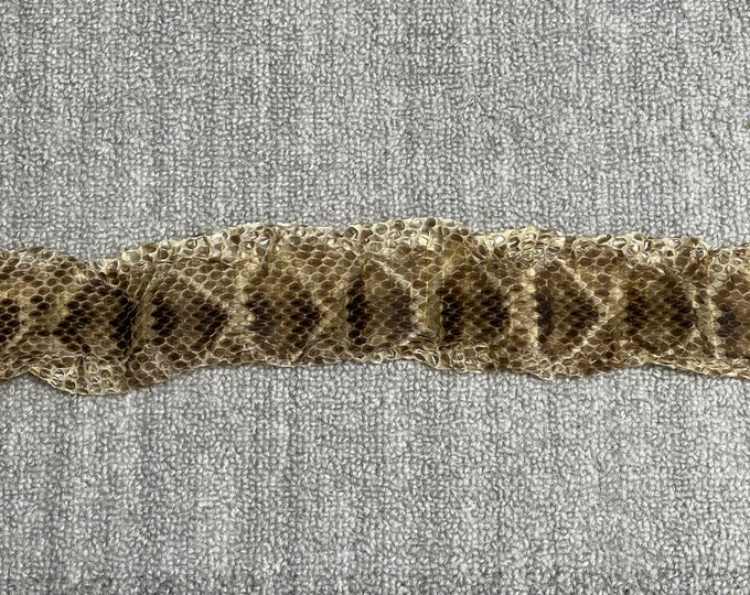 Eastern Diamondback Rattlesnake Shed Skin - Etsy
