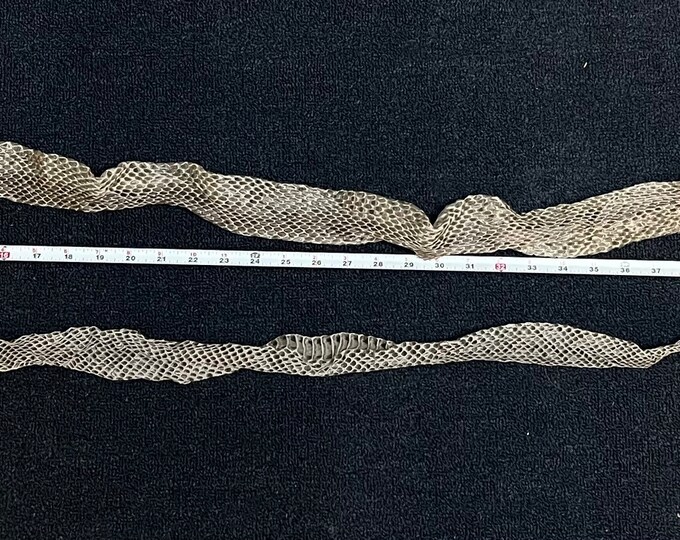 Black Rat Snake Shed Skin - Etsy