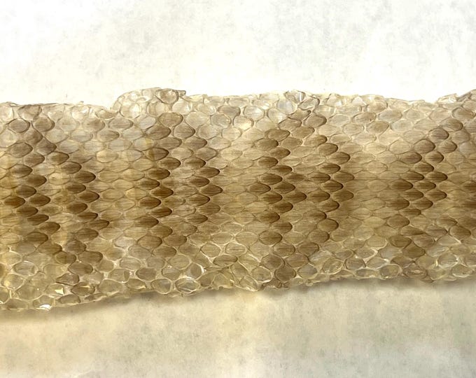 Black Tailed Rattlesnake Shed Skin - Etsy
