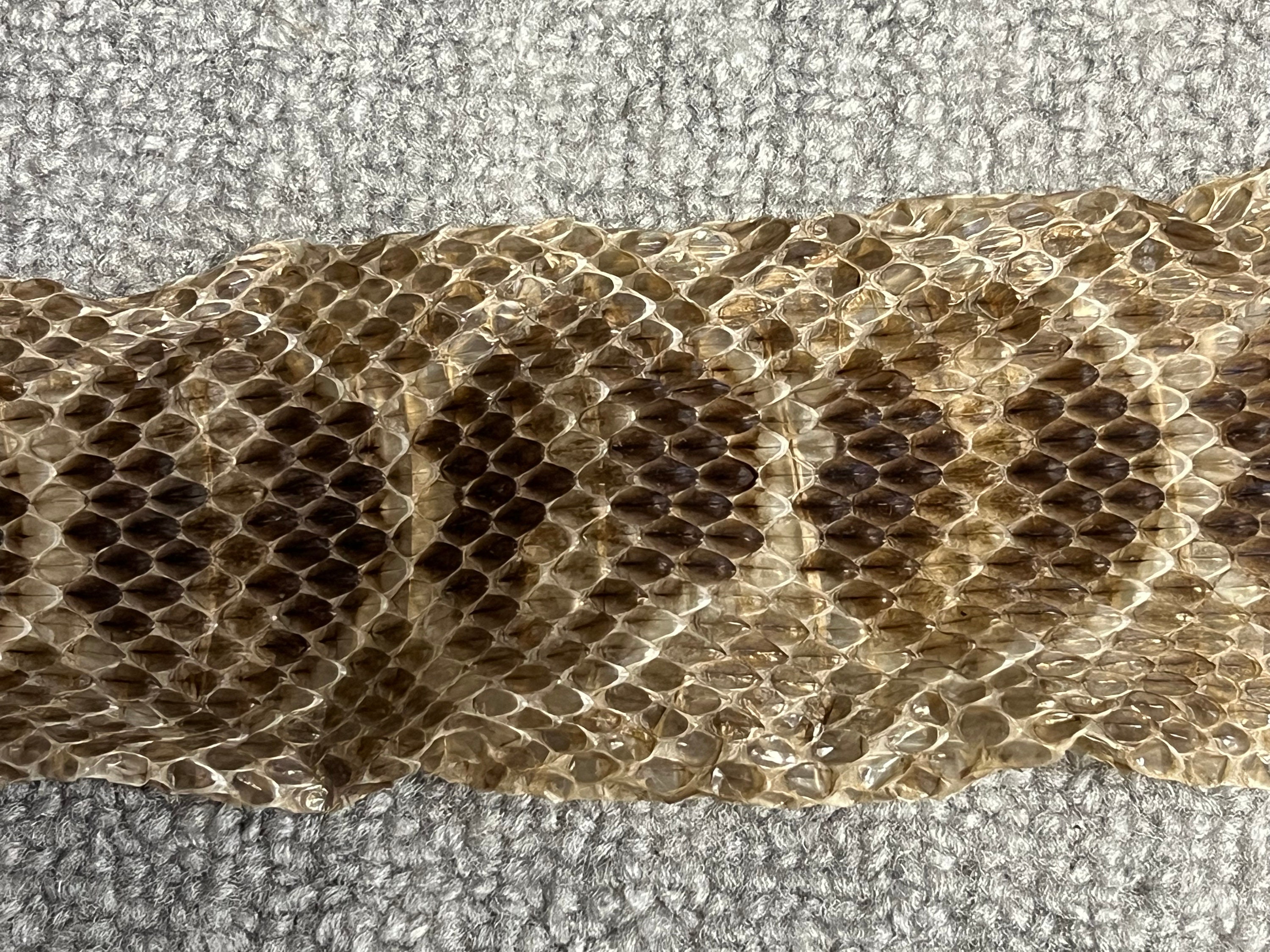 Diamondback Rattlesnake Skin Pattern