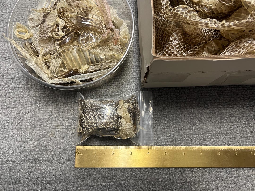 Venomous Snake Shed Skin mix Bag - Etsy
