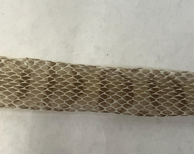 Eastern Milk Snake Shed Skin - Etsy