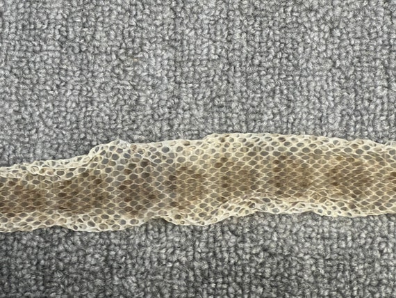 Western Diamondback Rattlesnake Shed Skin - Etsy