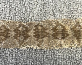 Western Diamondback Rattlesnake Shed Skin - Etsy