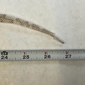 Copperhead Shed Skin - Etsy