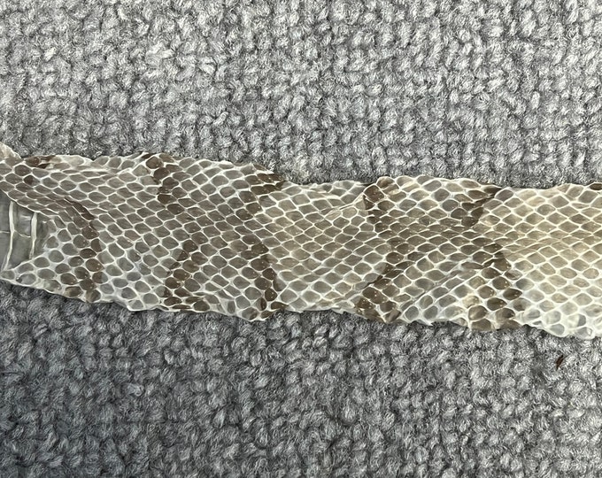 Copperhead Shed Skin - Etsy