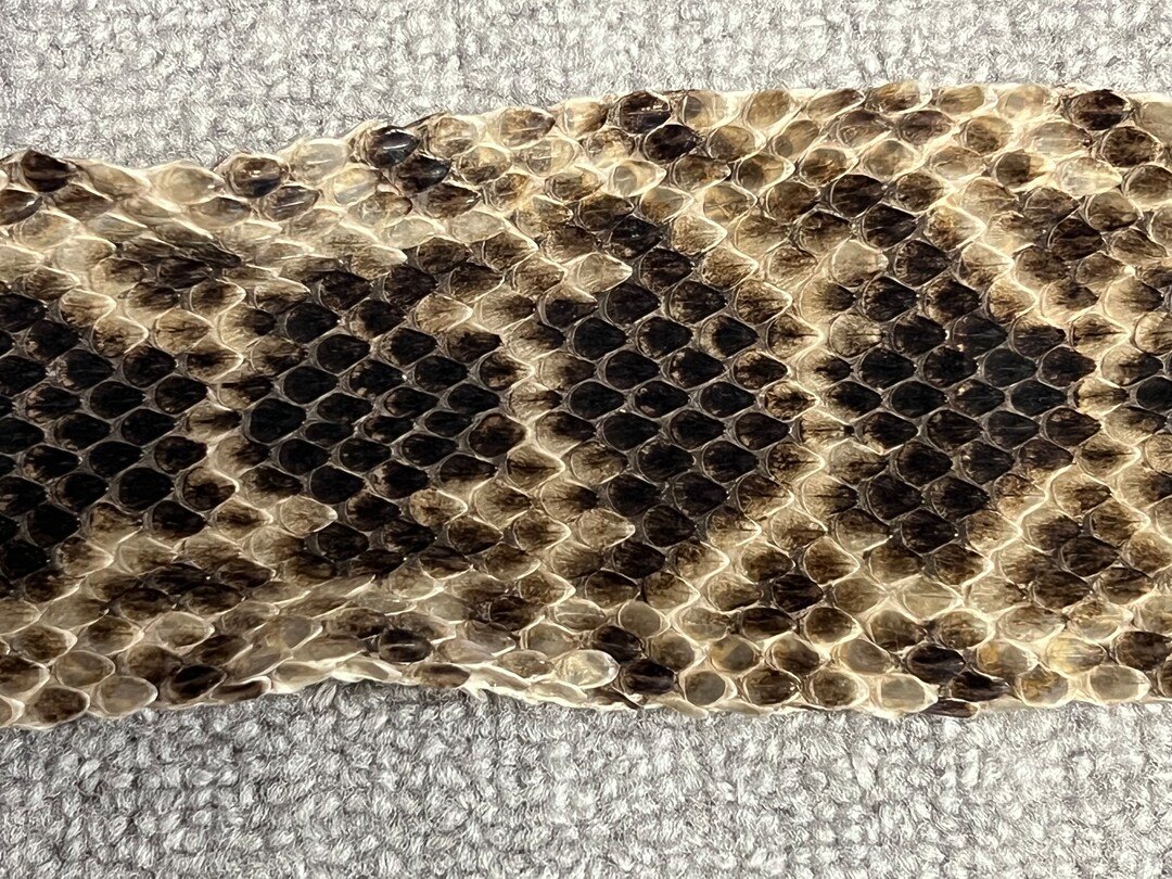 Melanistic Western Diamondback Rattlesnake Shed Skin - Etsy