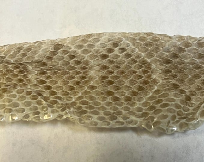 Western Diamondback Rattlesnake Shed Skin - Etsy