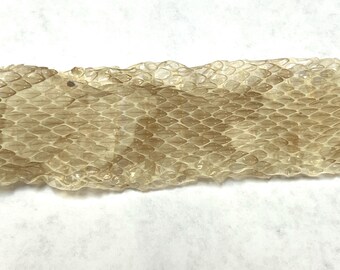 Venomous Snake Shed Skin mix Bag - Etsy