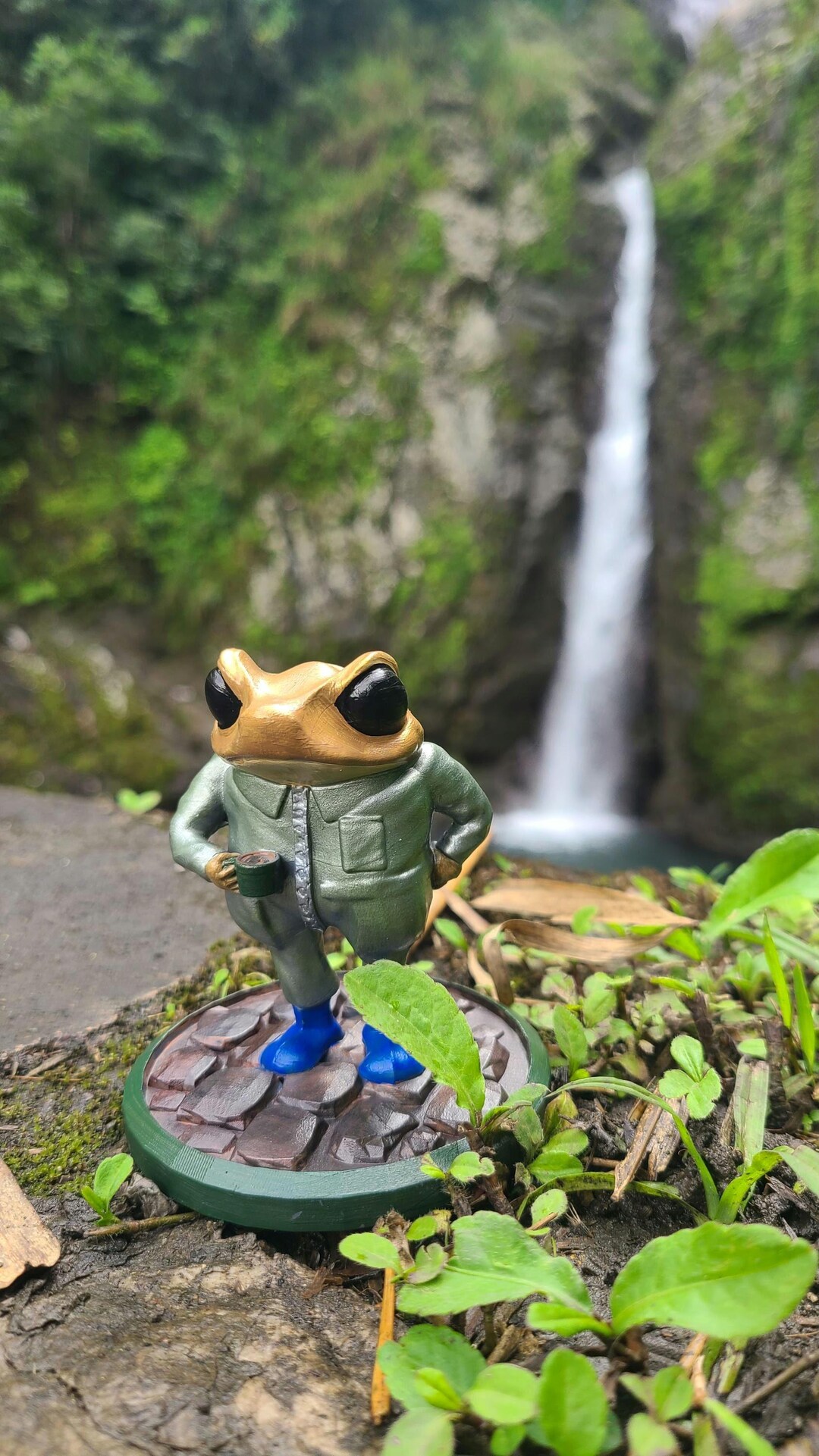 Sapo Concho (debí Tirar Mas Fotos) - Etsy