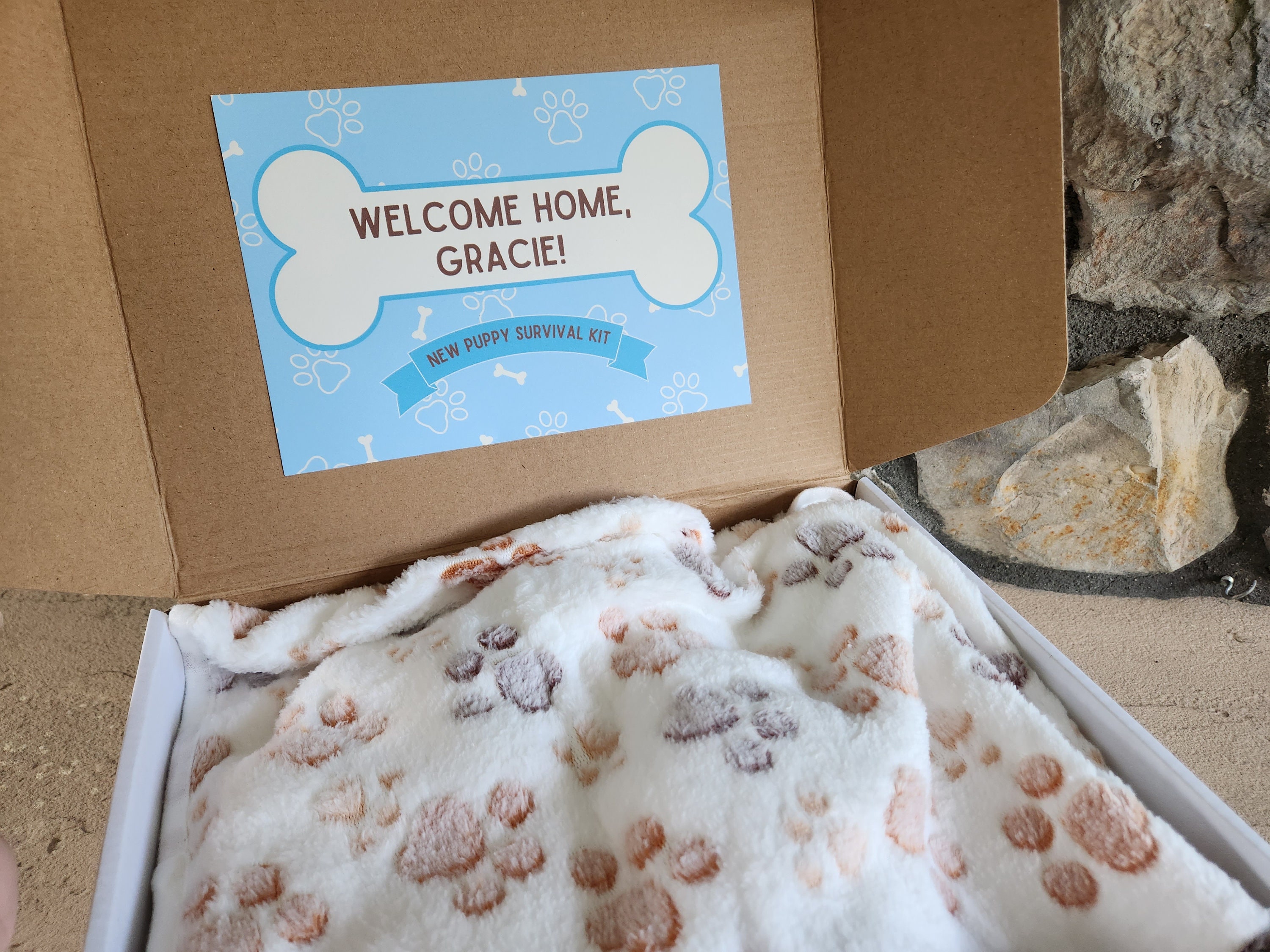 Welcome Home Dog Gift Box – New Puppy Survival Kit and Dog Adoption ...