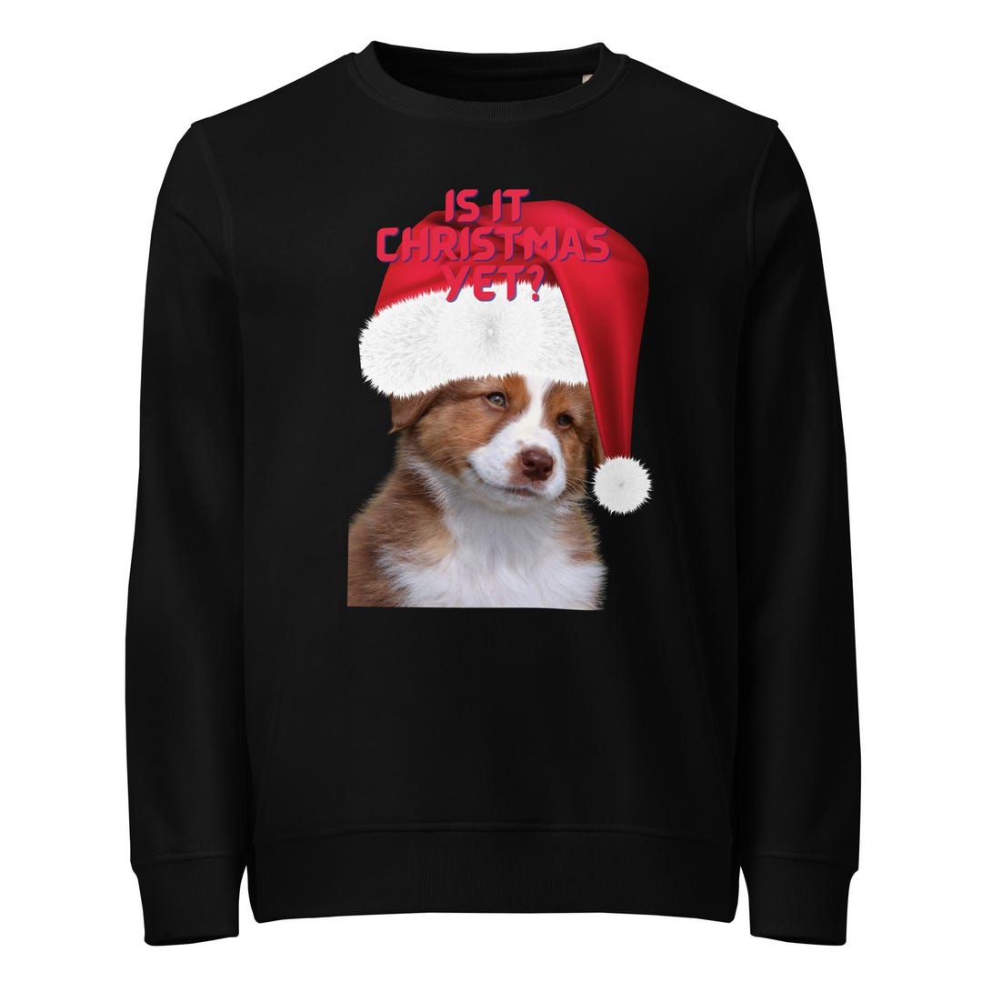 Cute, Coy Australian Shepard Pup With a Wink and Santa Hat Wonders is ...