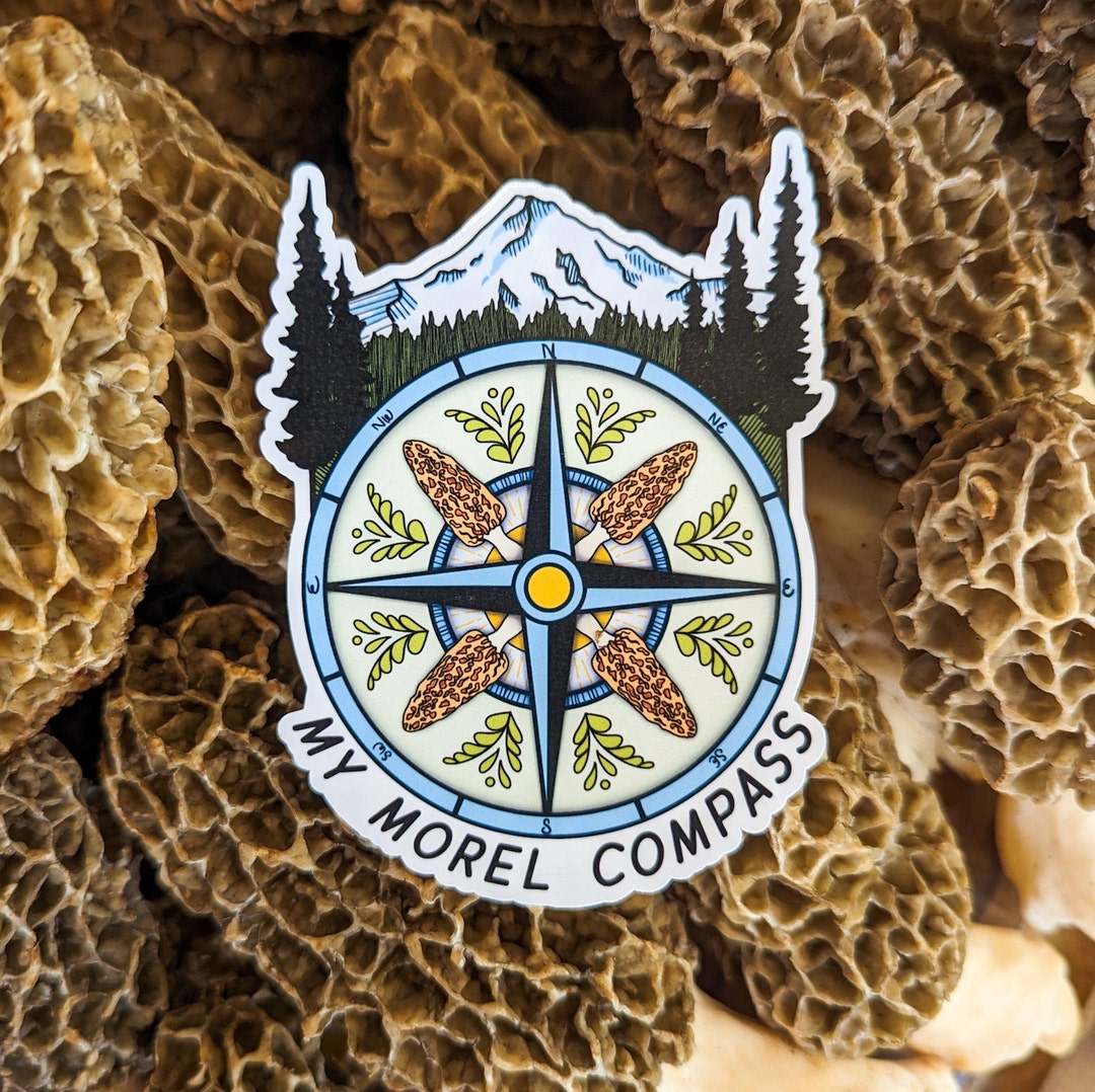 My Morel Compass Sticker | Funny Morel Mushroom Sticker | Yellow Morels ...