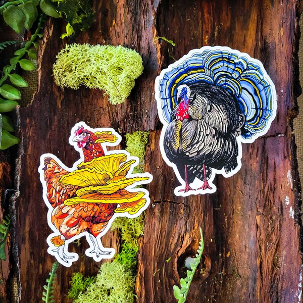 Wild Turkey Stickers - Etsy