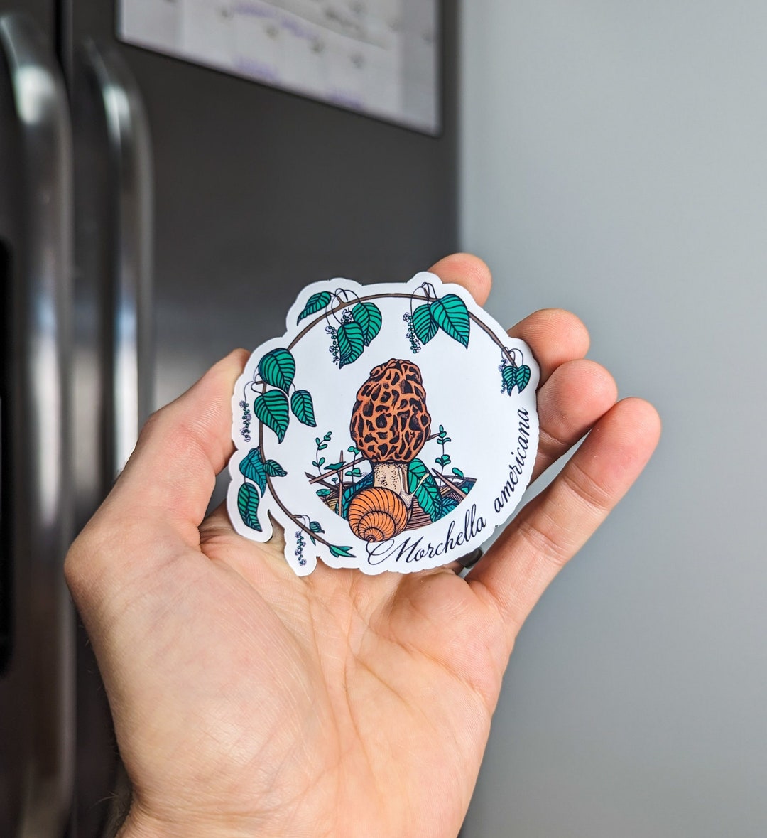 Morchel Pilz Magnet | Morchella Americana | Amerikanische Morchel ...