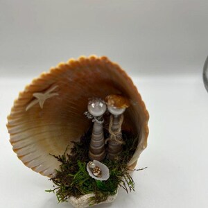 Seashell Nativity - Etsy
